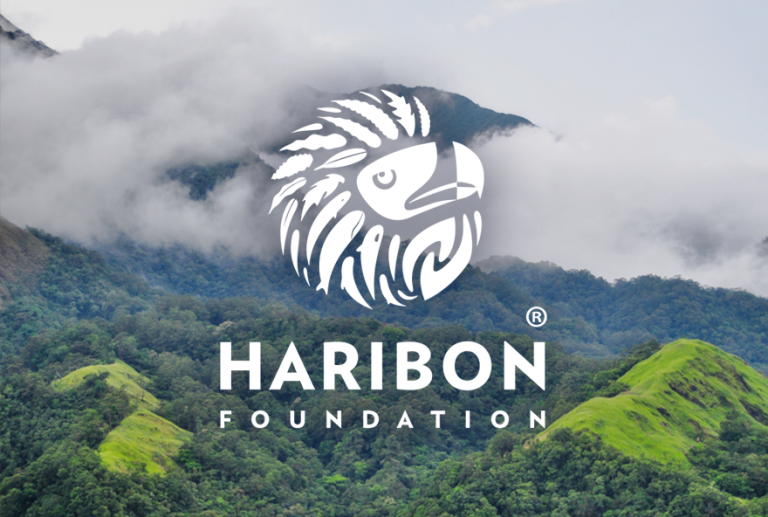 Business Organizations in the Philippines: A List for Entrepreneurs